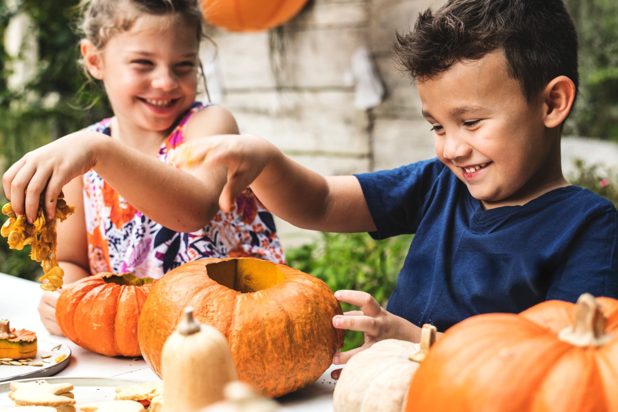 Pumpkin Workshops